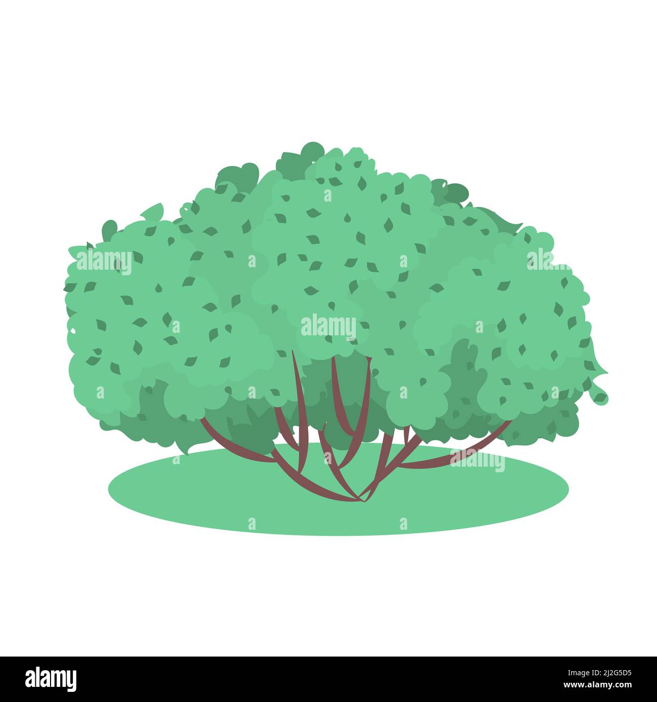 Vector garden bush isolated shrub hedge. Green bush cartoon grass ...