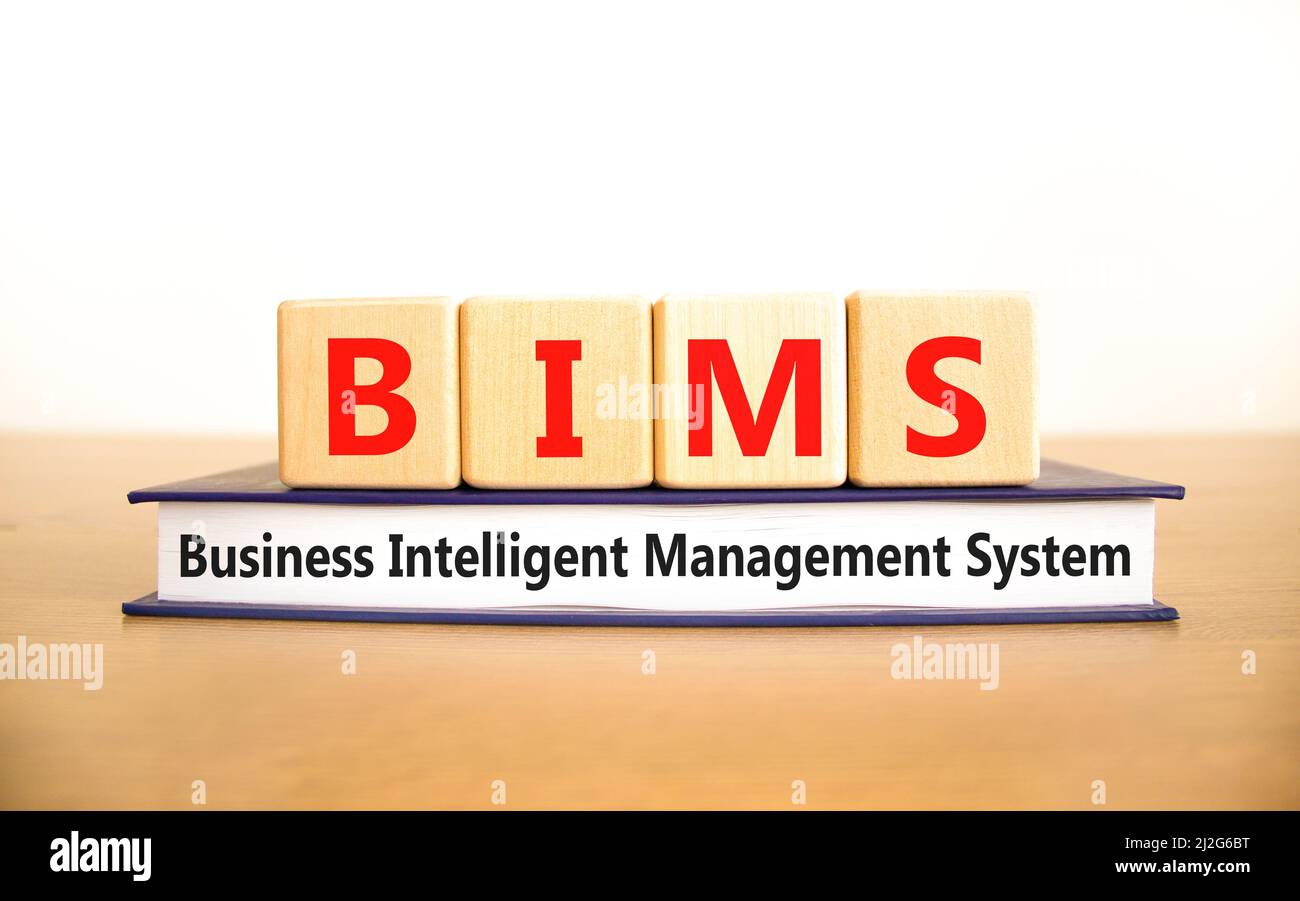 BIMS, Business intelligent management system symbol. Concept words BIMS ...