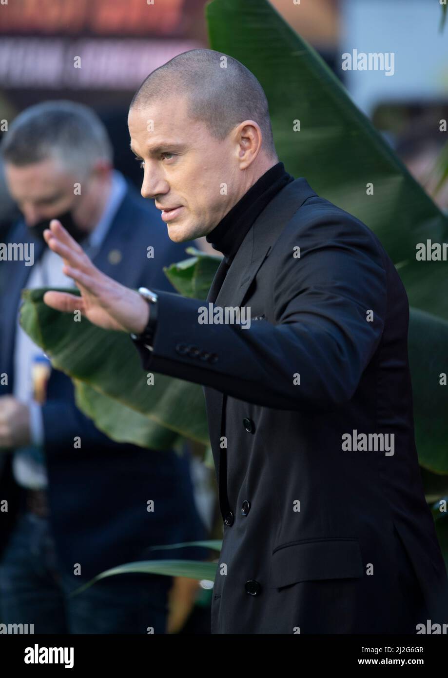 Channing Tatum attends the UK Special Screening of "The Lost City" at ...