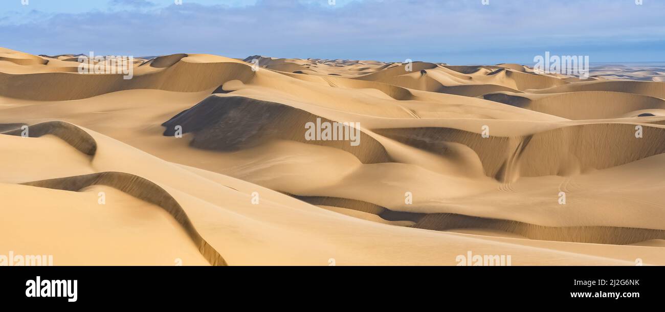 Namibia, the Namib desert, graphic landscape of yellow dunes Stock ...