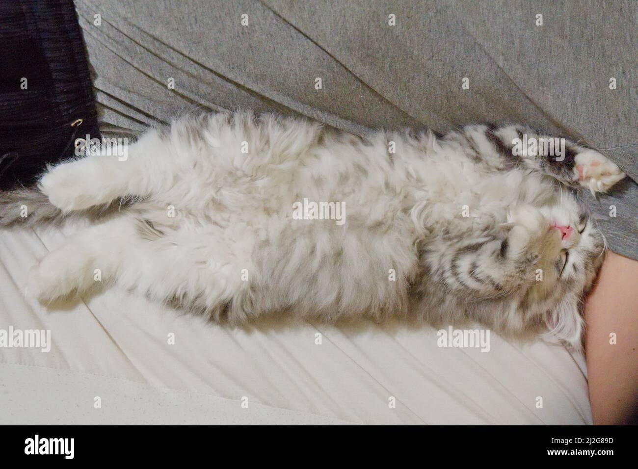 Hairy armpits hi-res stock photography and images - Alamy