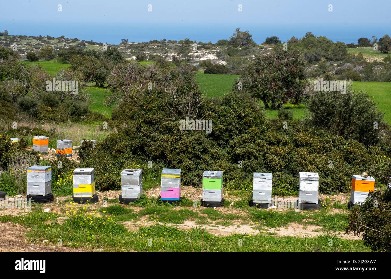 Colourful row of bee hives near Neo Chorio, Republic of Cyprus Stock ...