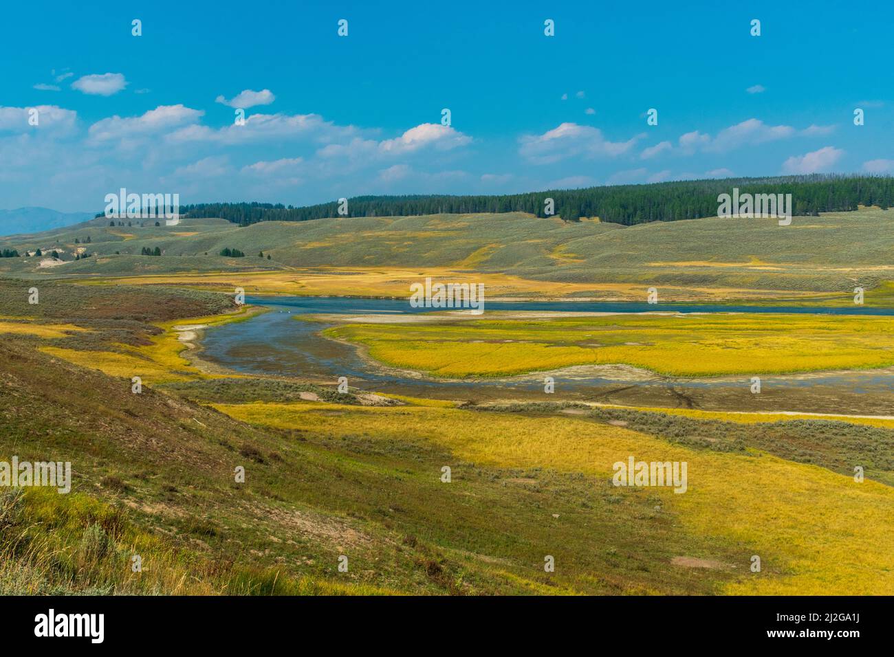 The Yellowstone River flows through lush, green Hayden Valley in ...