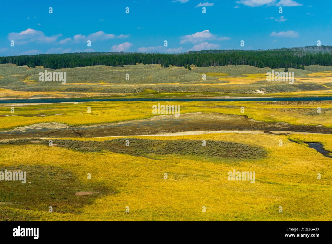 The Yellowstone River flows through lush, green Hayden Valley in ...