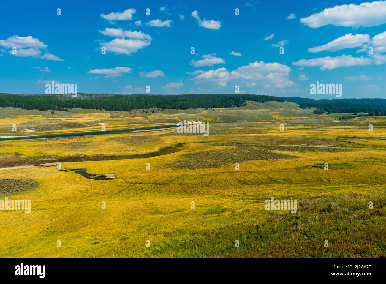 The Yellowstone River flows through lush, green Hayden Valley in ...