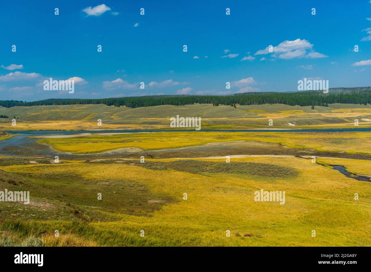 The Yellowstone River flows through lush, green Hayden Valley in ...