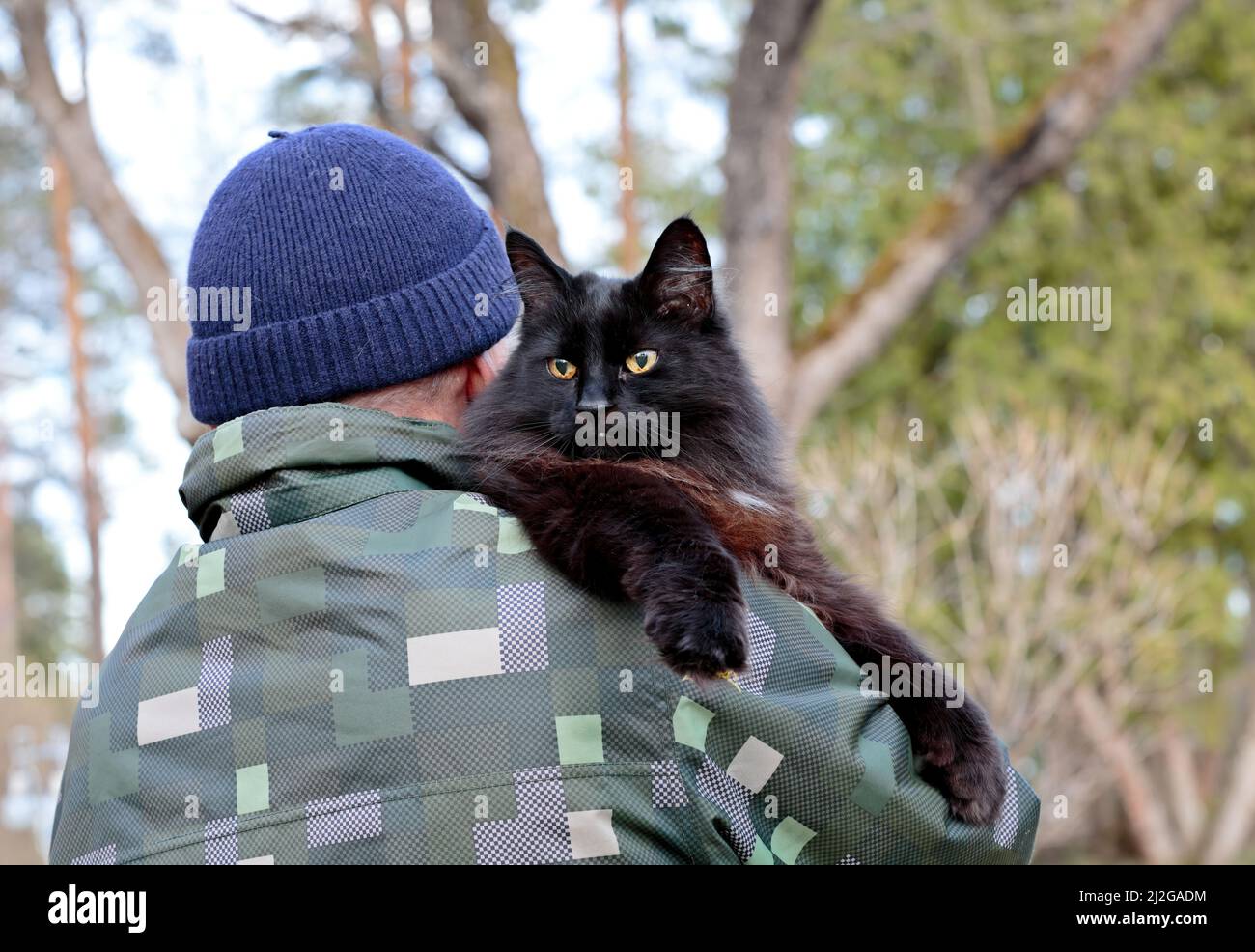 A black cat looking over mans shoulder Stock Photo - Alamy