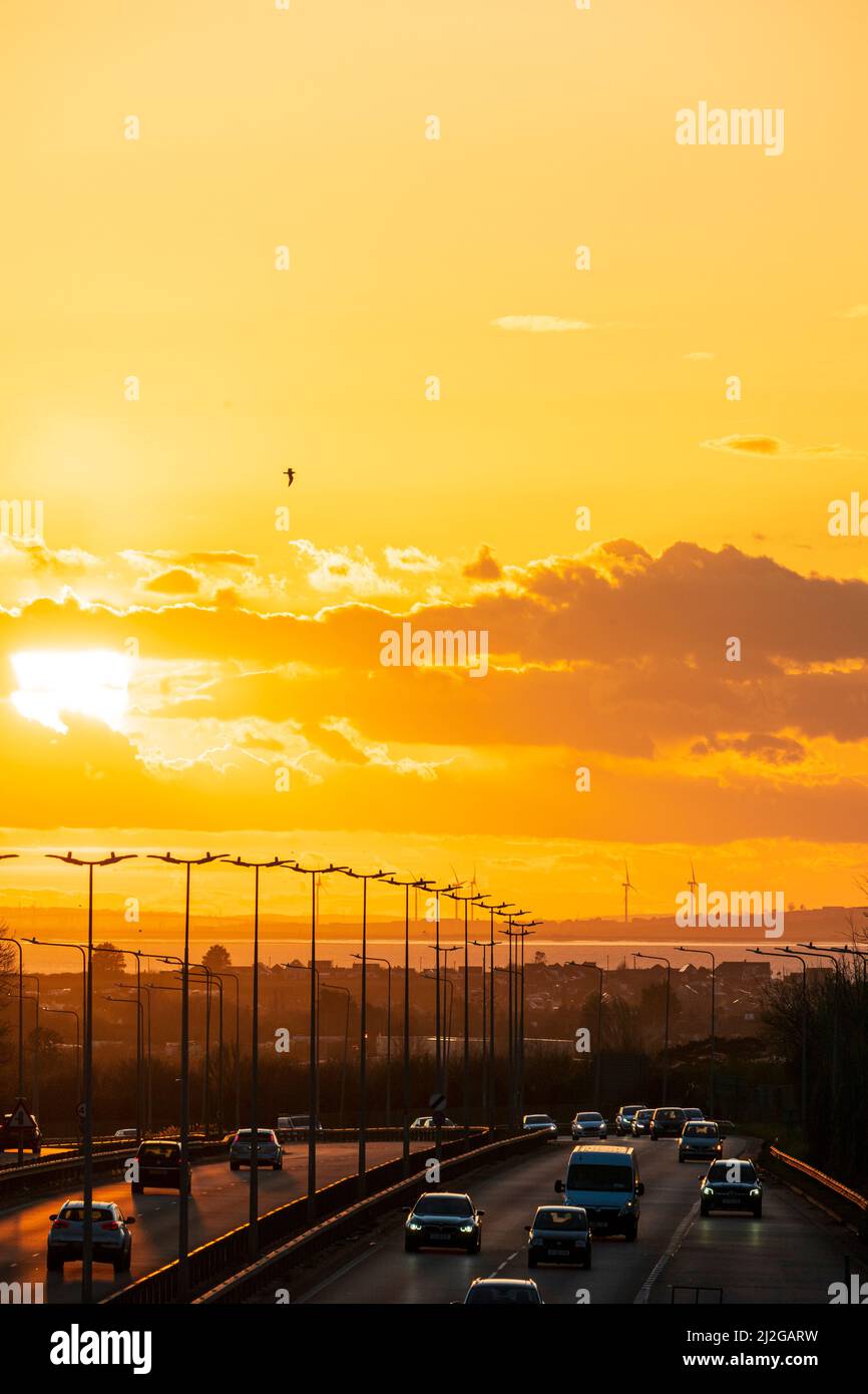 Sunset over traffic on the Thanet Way, A299, an English dual ...