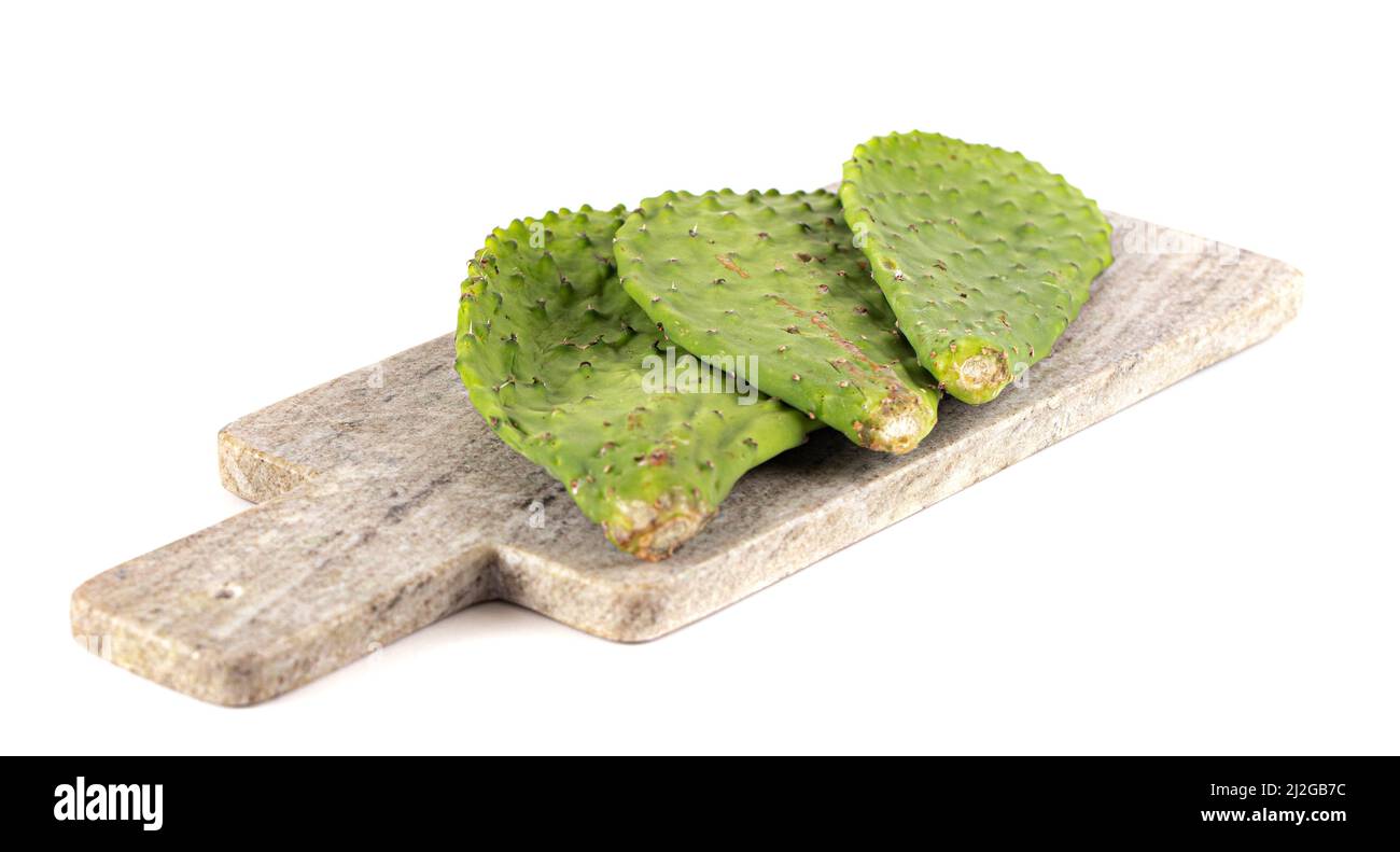 Flat mexican cactus hi-res stock photography and images - Alamy