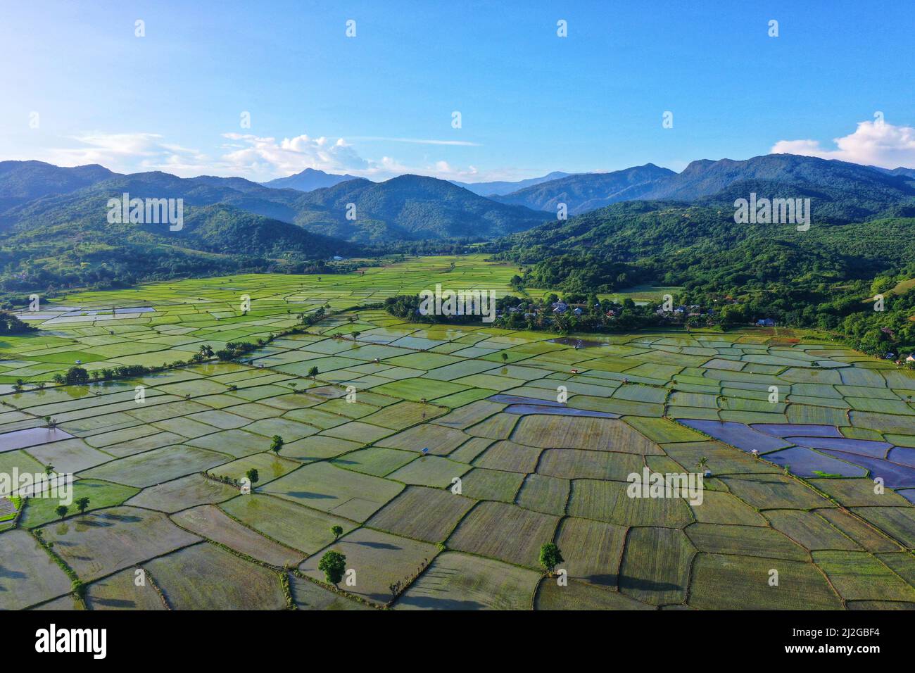 An aerial view of rice fields and hills with summer sky and clouds in ...