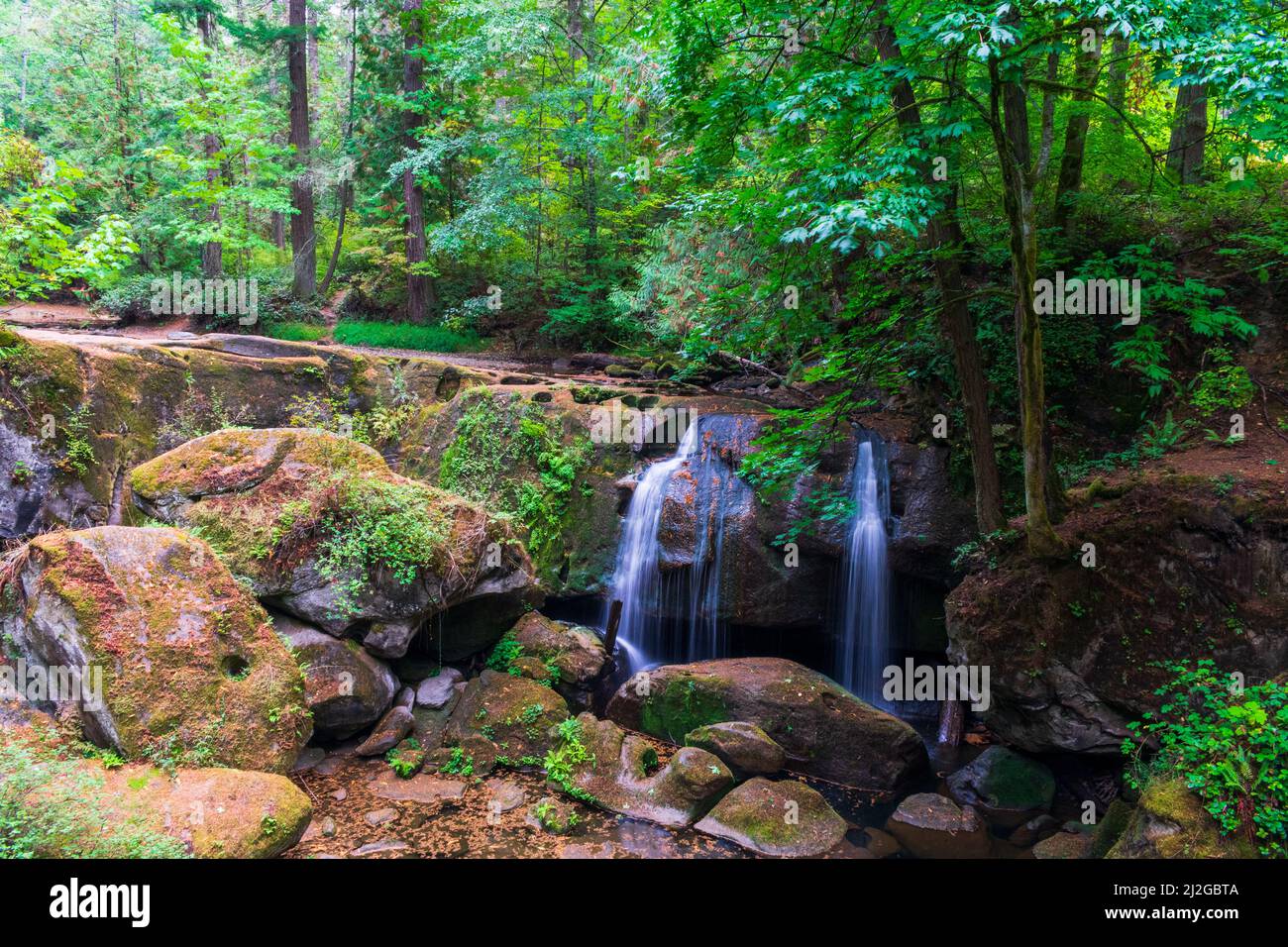 Whatcom Falls with low water flow, Bellingham, WA, USA Stock Photo - Alamy