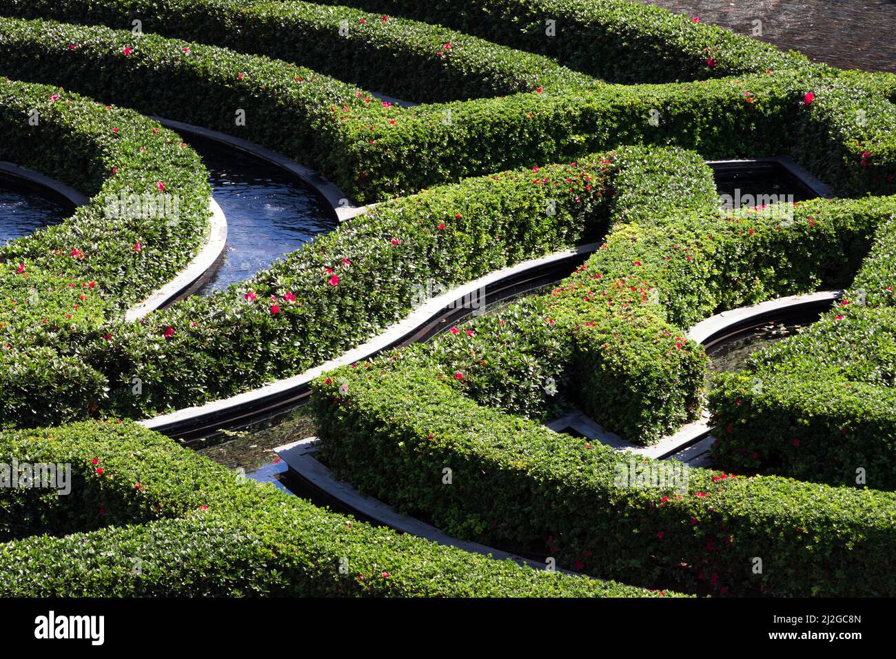Fancy hedges hi-res stock photography and images - Alamy