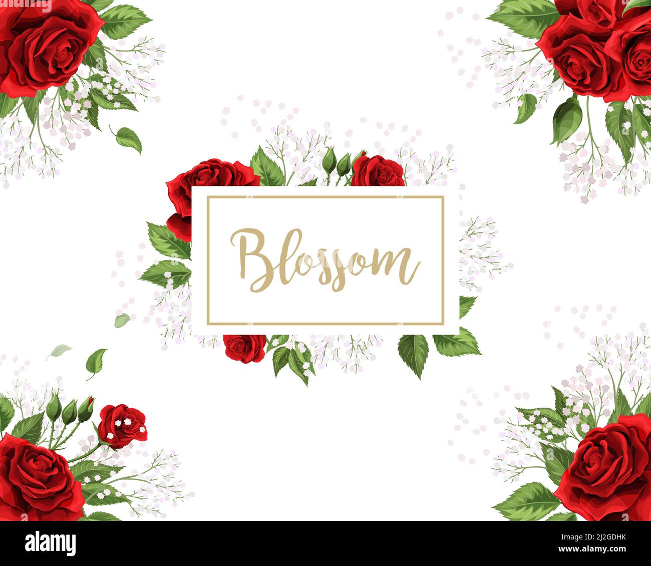 Red roses hand drawn colored postcard template illustration on white ...