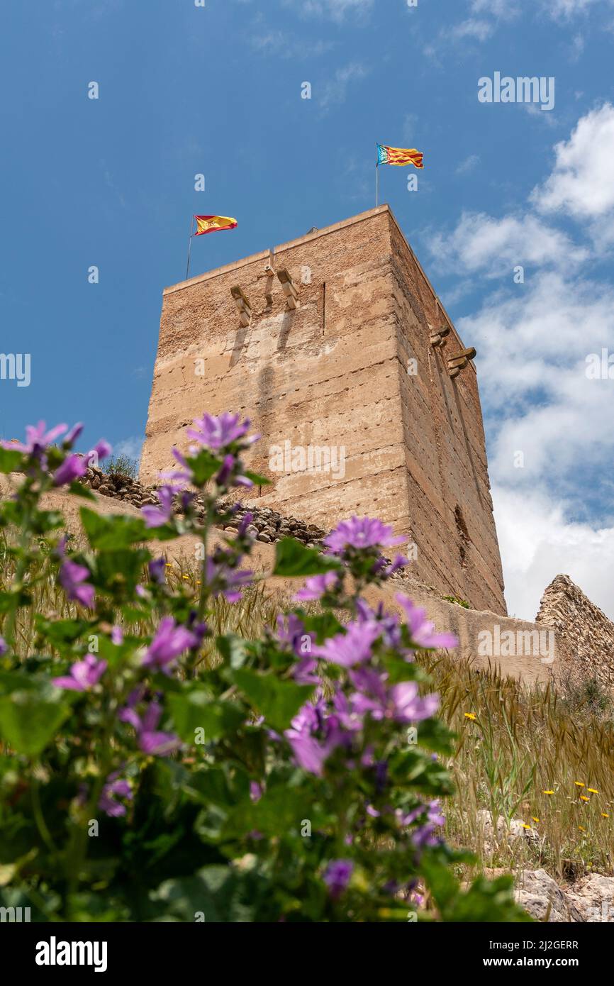Castle at Biar, Alicante province, Spain Stock Photo - Alamy