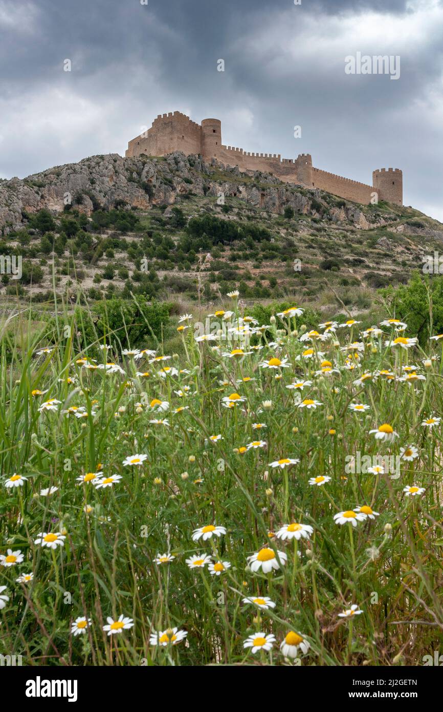 Castalla hi-res stock photography and images - Alamy