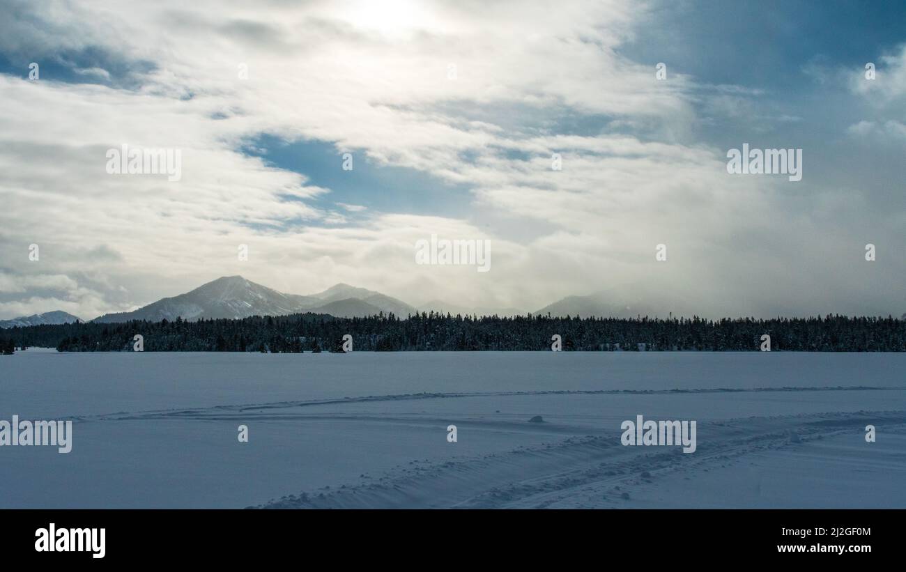 Snowmobile through forest trees mountain hi-res stock photography and ...