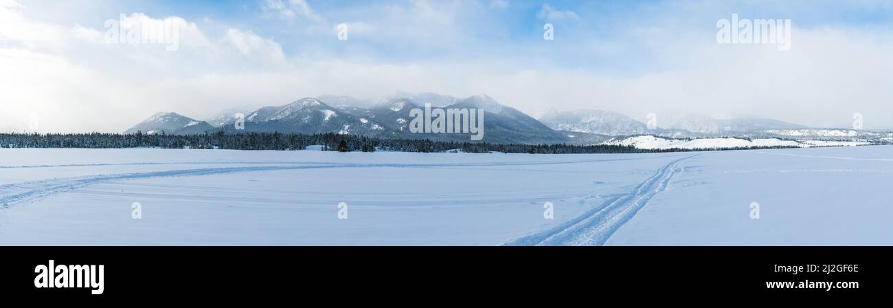 Snowmobile through forest trees mountain hi-res stock photography and ...