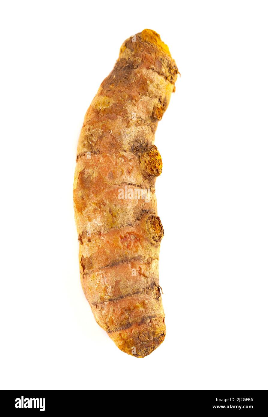 A Single Turmeric Root Isolated on a White Background Stock Photo - Alamy