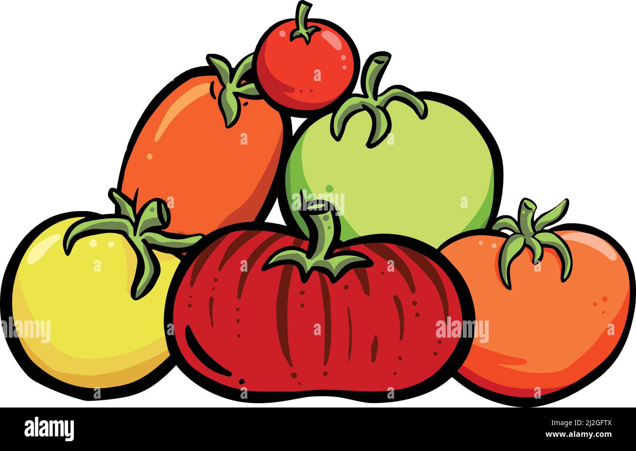 A Cartoon Collection of Different Tomato Breeds Vector Illustration ...