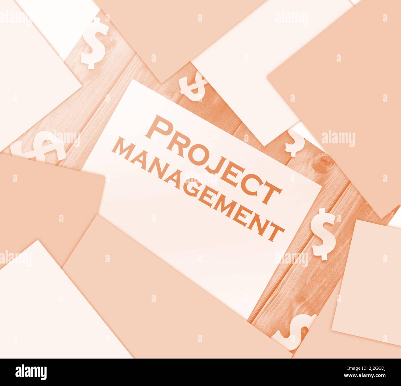 Project management text on page and paper dollar signs around on ...