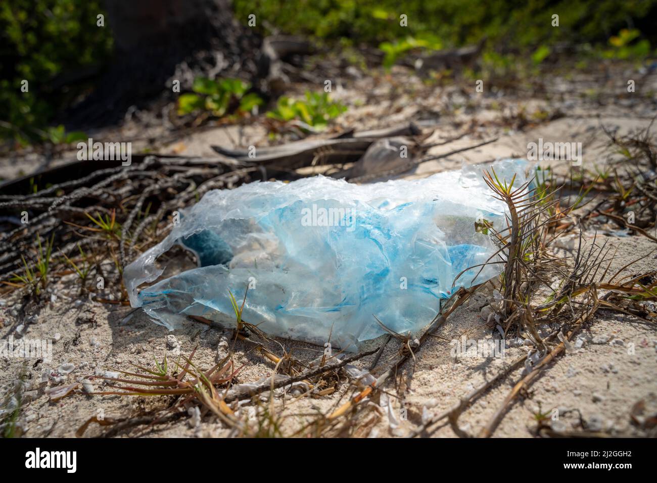 A closeup of plastic rubbish in Punta Cana spilled from the ocean to ...