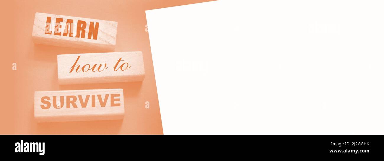 Text on wooden blocks Learn How to Survive. Surviving in crisis times ...