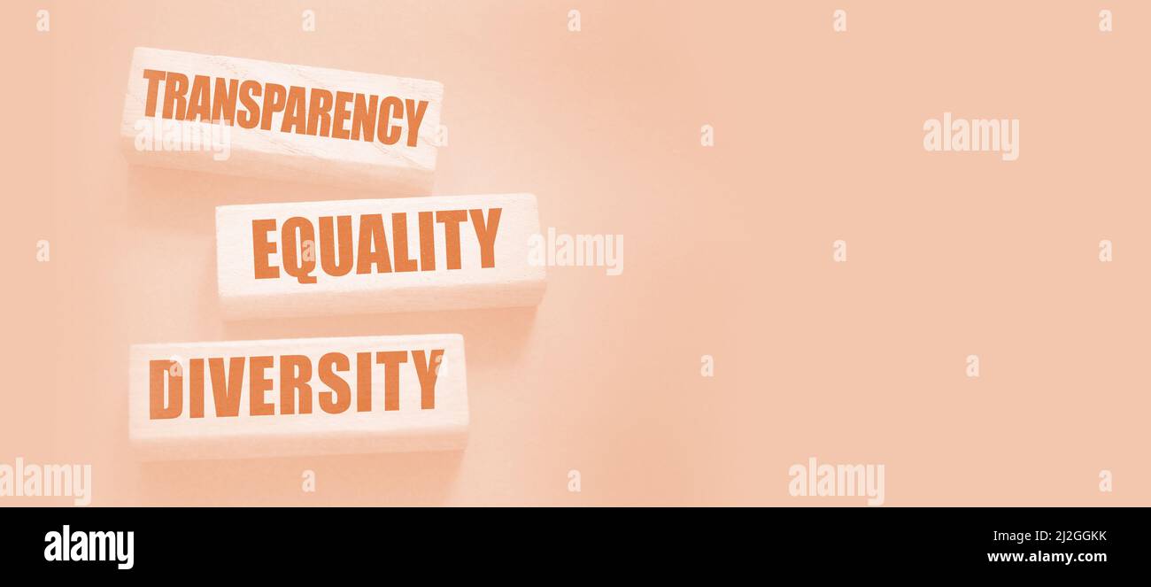 Transparency Equality diversity words on long wooden blocks on black ...
