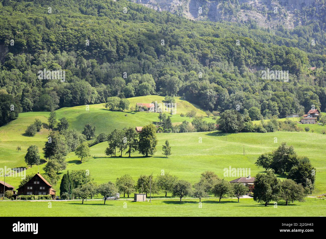 Pasture landscape in Swiss Alps region Stock Photo - Alamy
