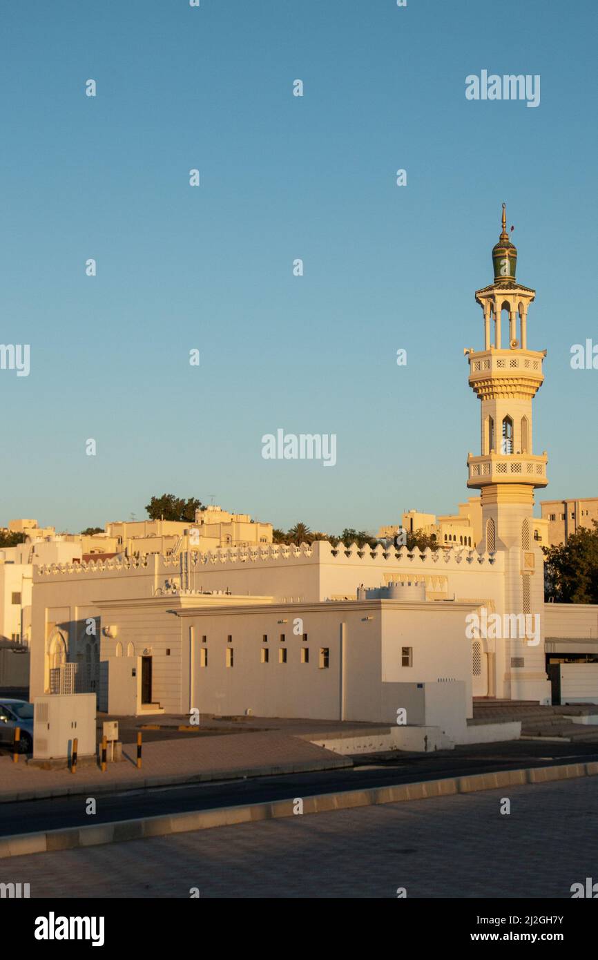 A vertical shot of a white mosque under a clear sky during sunshine ...