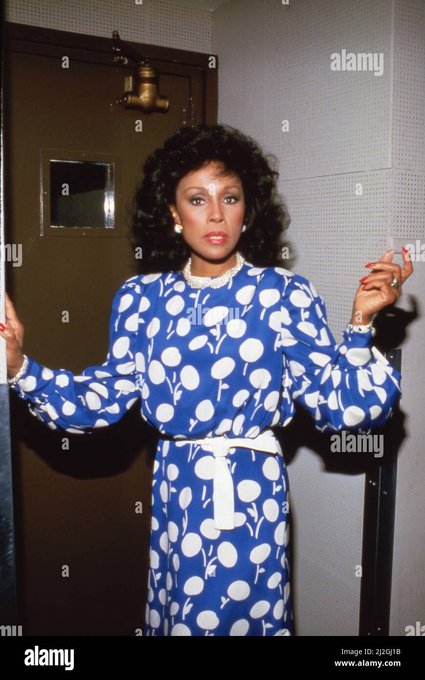 Diahann Carroll 1985 .Credit: Ralph Dominguez/MediaPunch Stock Photo - Alamy