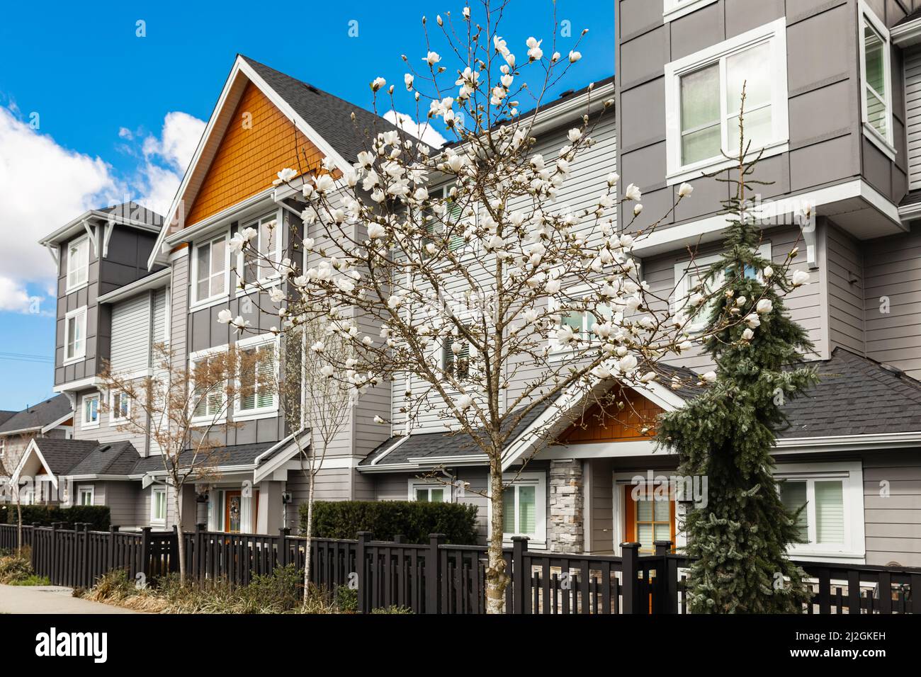 Neighborhood modern houses with spring flowers in BC, Canada. Canadian ...