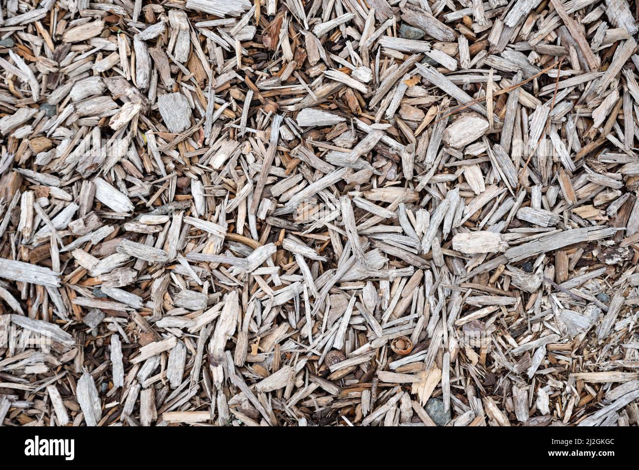 Bark mulch texture hi-res stock photography and images - Alamy