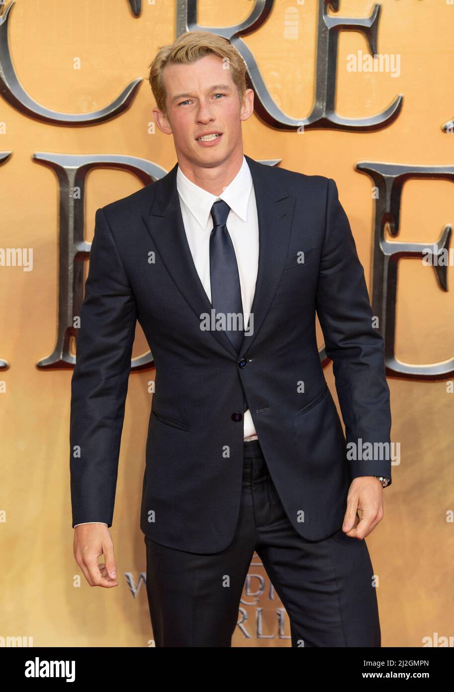 Callum Turner arrives at the "Fantastic Beasts: The Secret of ...