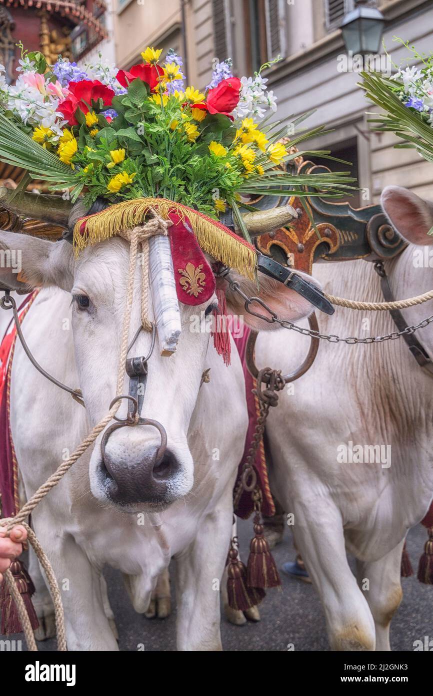 Explosion of the cart festival parade hi-res stock photography and ...