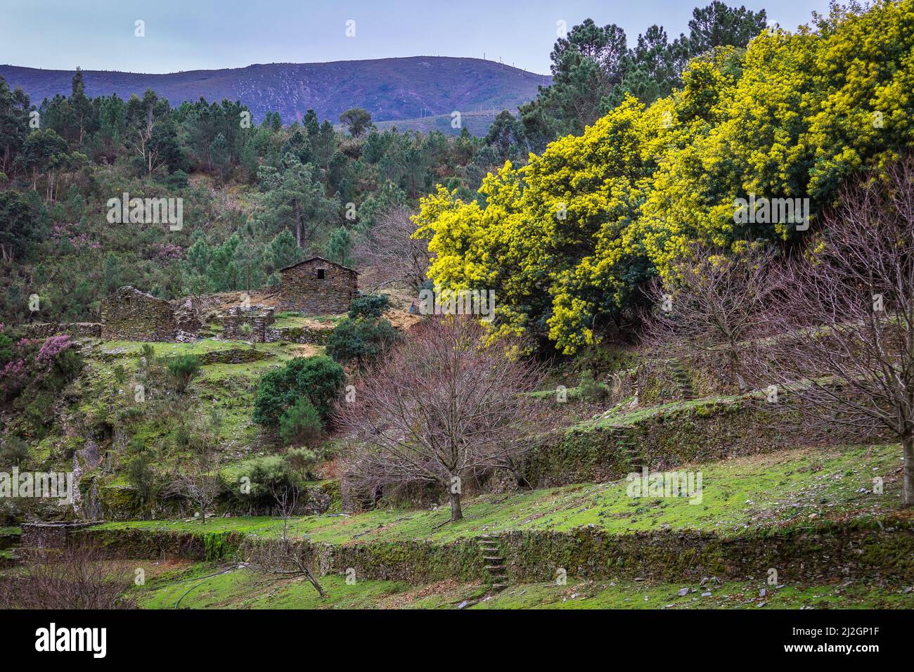 A view of stone houses and stone streets of Piodao village in Portugal ...
