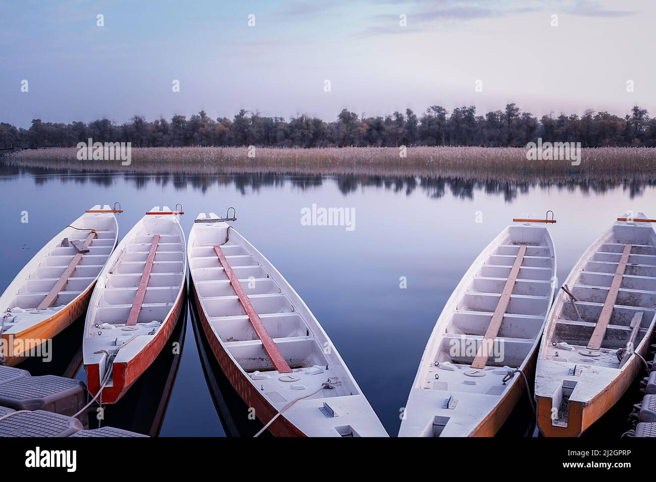 A scenic view of moored wooden canoes on a calm lake under a bright ...