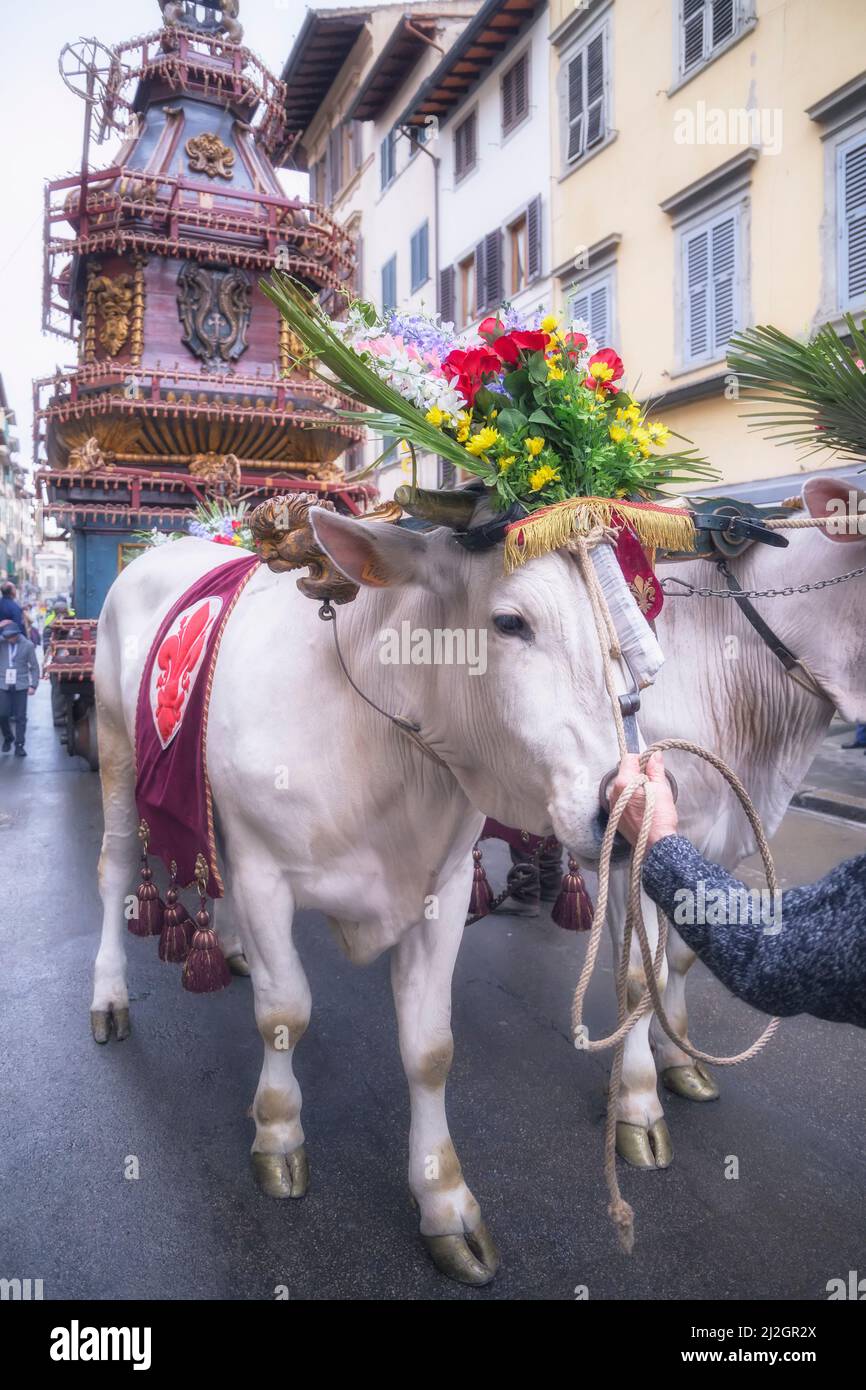 Explosion of the cart hi-res stock photography and images - Alamy