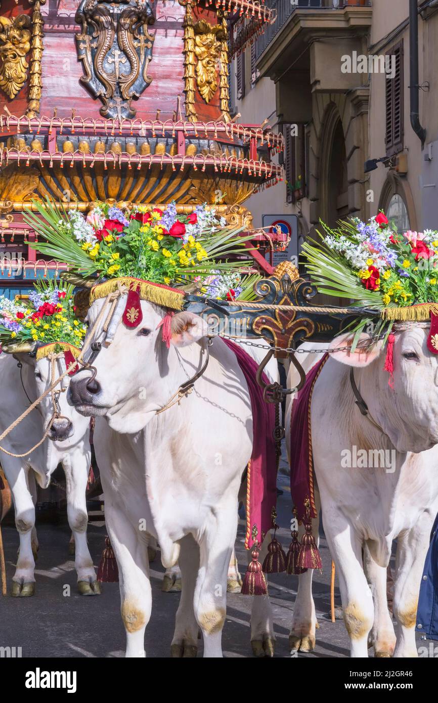 Explosion of the cart festival parade hi-res stock photography and ...