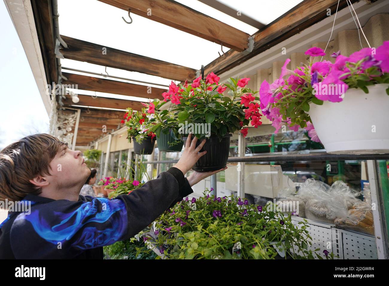 St. Louis, United States. 01st Apr, 2022. Worker Dylan Ellis places ...
