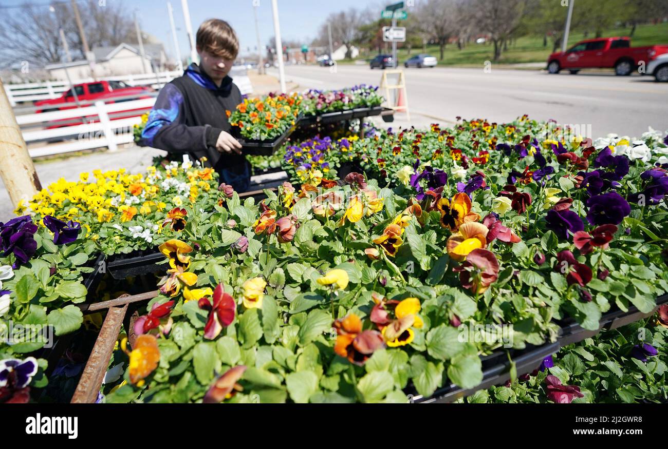 St. Louis, United States. 01st Apr, 2022. Worker Dylan Ellis places ...