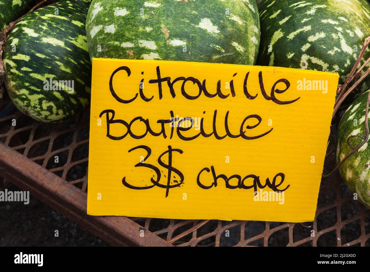 Cucurbita lagenaria hi-res stock photography and images - Alamy