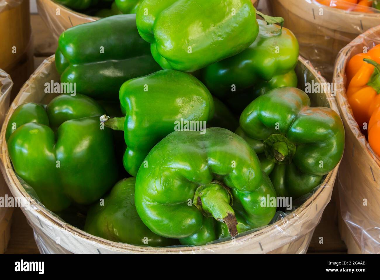 Green Capsicum annuum - Bell Peppers Stock Photo - Alamy