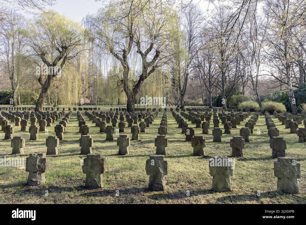 The grave stones in a military cemetery, World War II Stock Photo - Alamy
