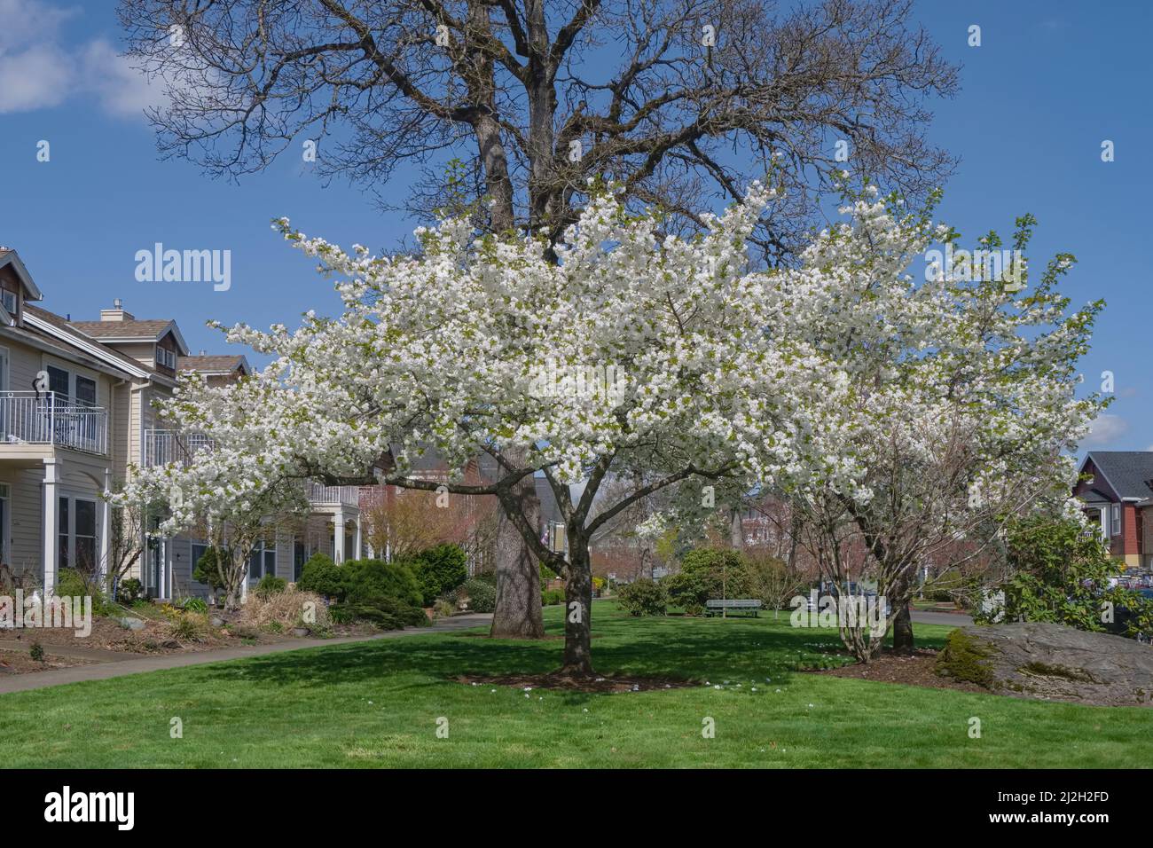 City of fairview park hi-res stock photography and images - Alamy