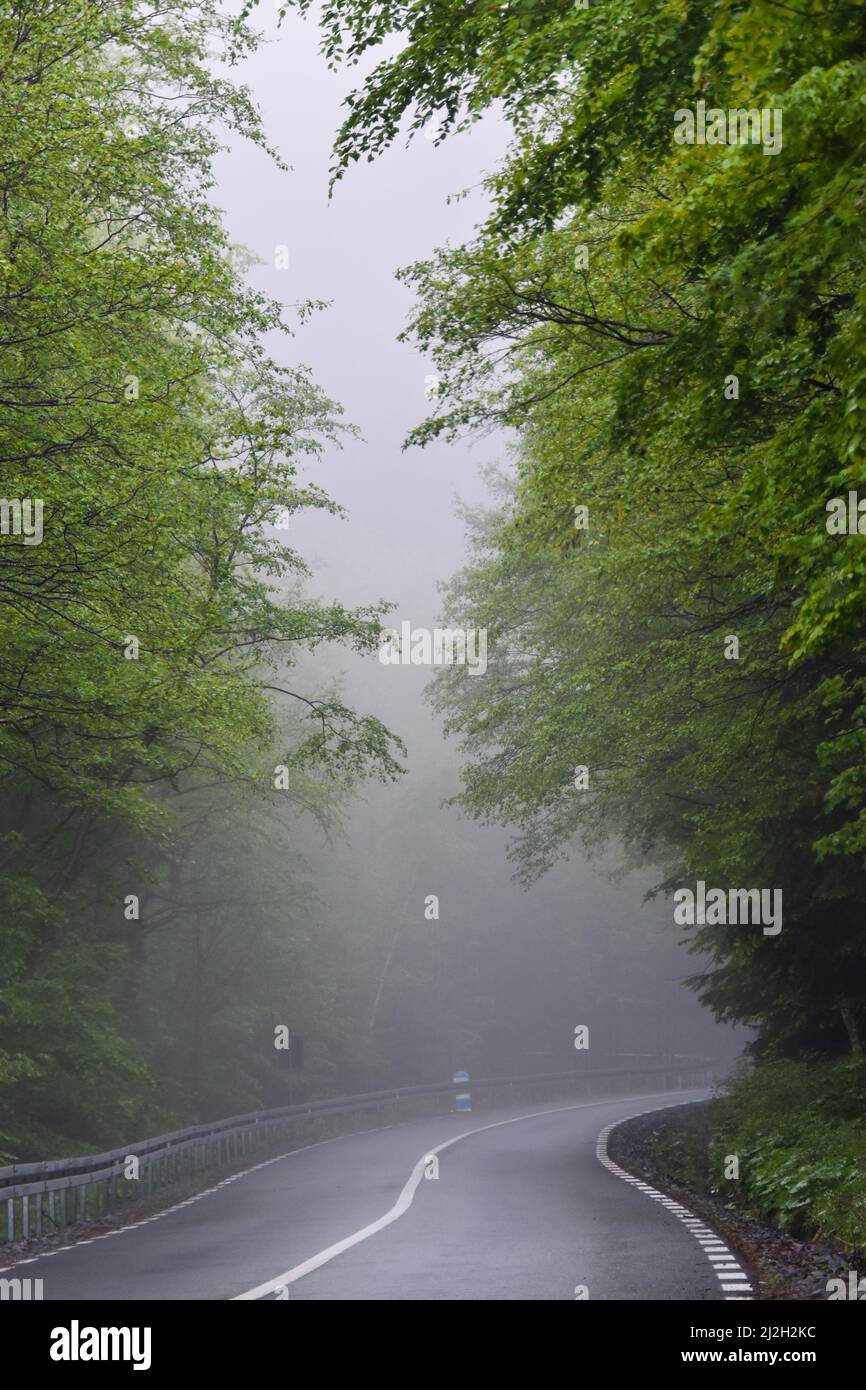 A closeup of an empty road with fogs Stock Photo - Alamy
