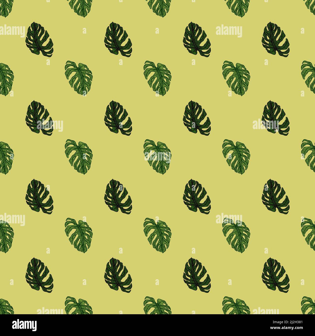 Monstera leaf seamless pattern.Vintage tropical branch in engraving ...