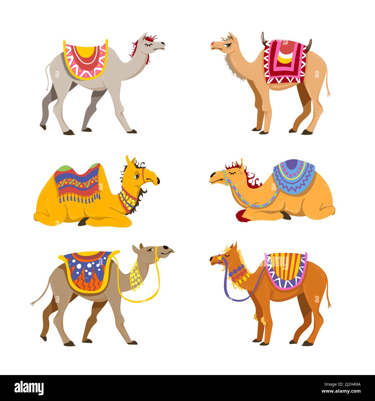 Camel set for desert caravan. Cartoon vector illustrations. Group of ...