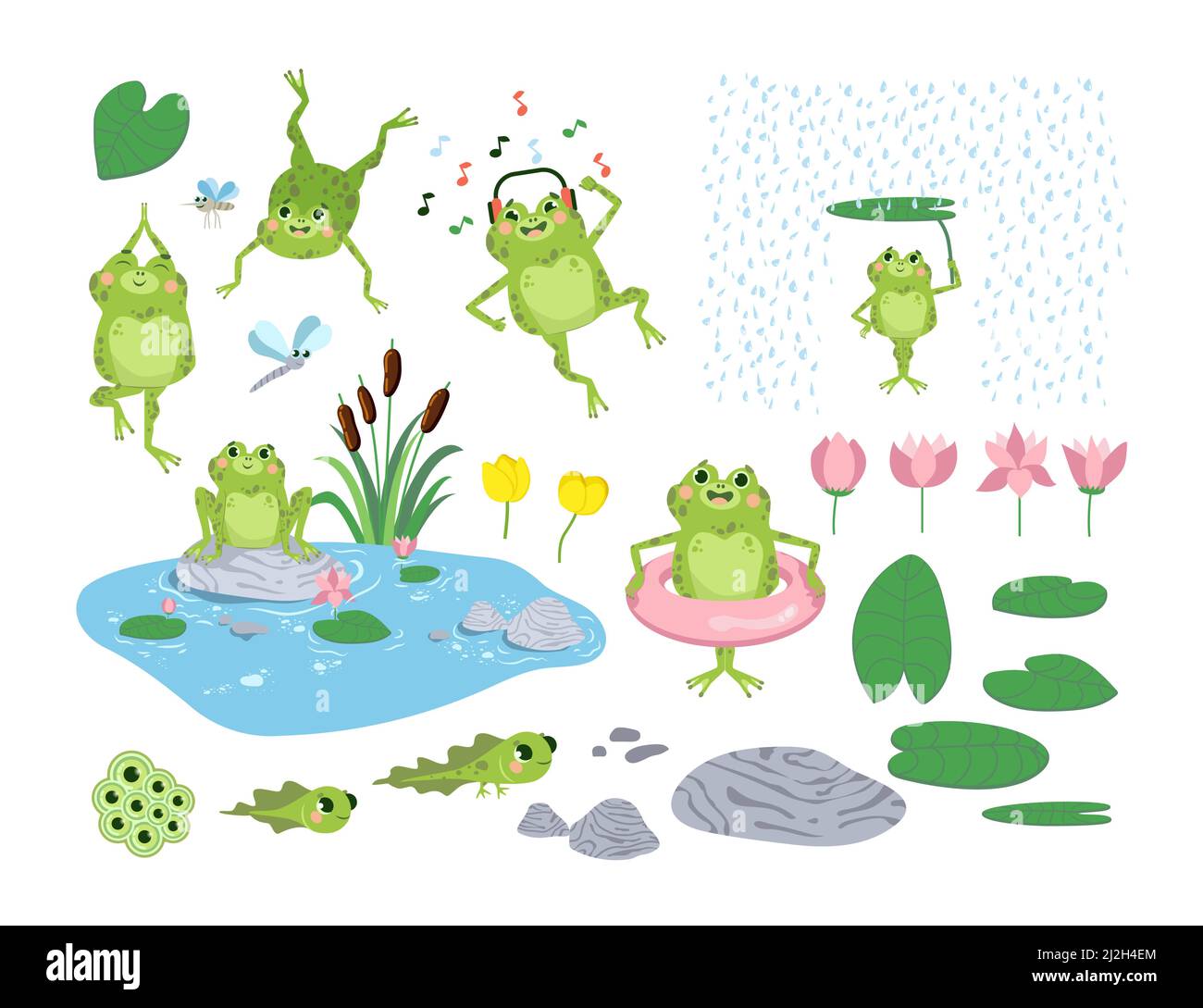 Toads tadpole Stock Vector Images - Alamy