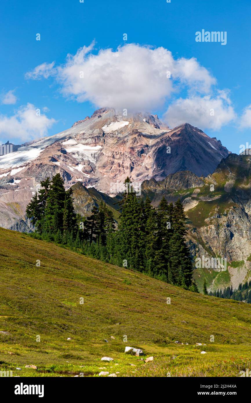 WA21272-00...WASHINGTON - Glacier Peak viewed from the Pacific Crest ...