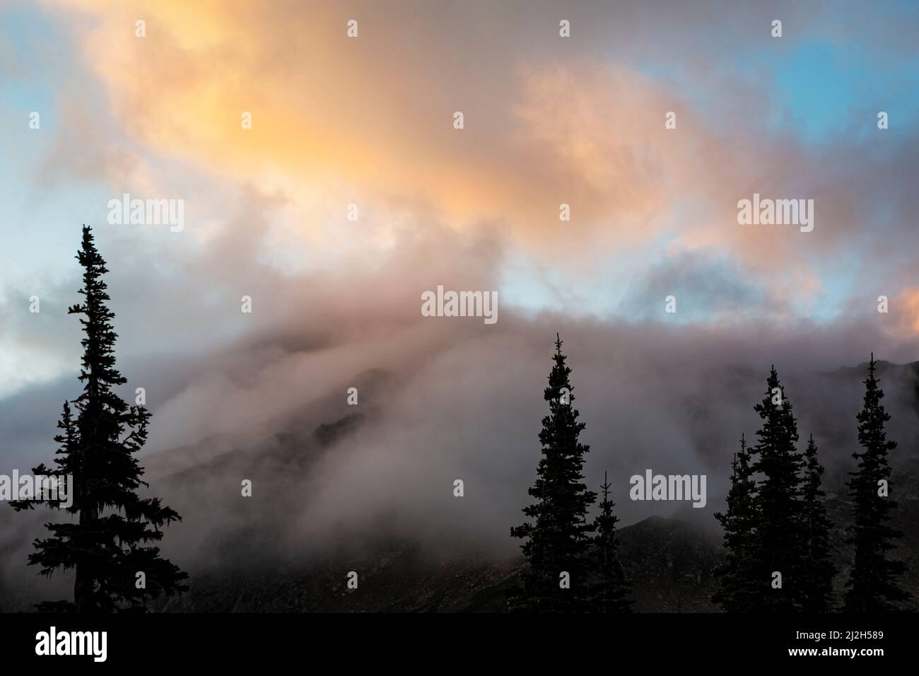 WA21288-00...WASHINGTON - Clouds rising up from the lowlands at sunrise ...